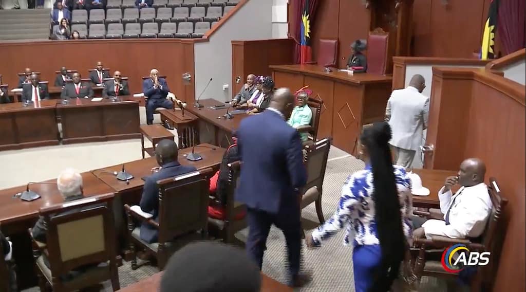 VIDEO: Pringle, Opposition Senators leave joint sitting of parliament ...