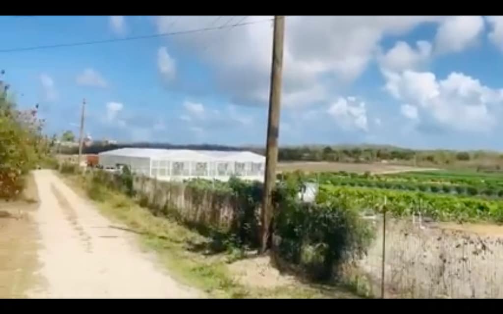 Farmer Browne thanks George Wehner for publicity of his farm - Antigua ...