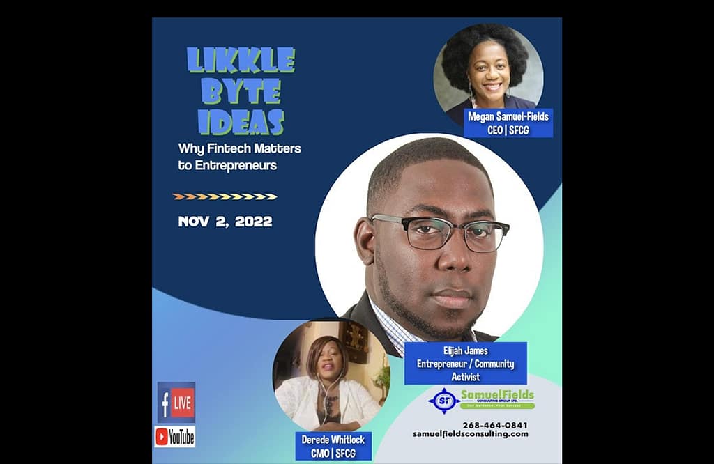 Likkle Byte Ideas - Why Fintech Matters to Entrepreneurs - Antigua News Room