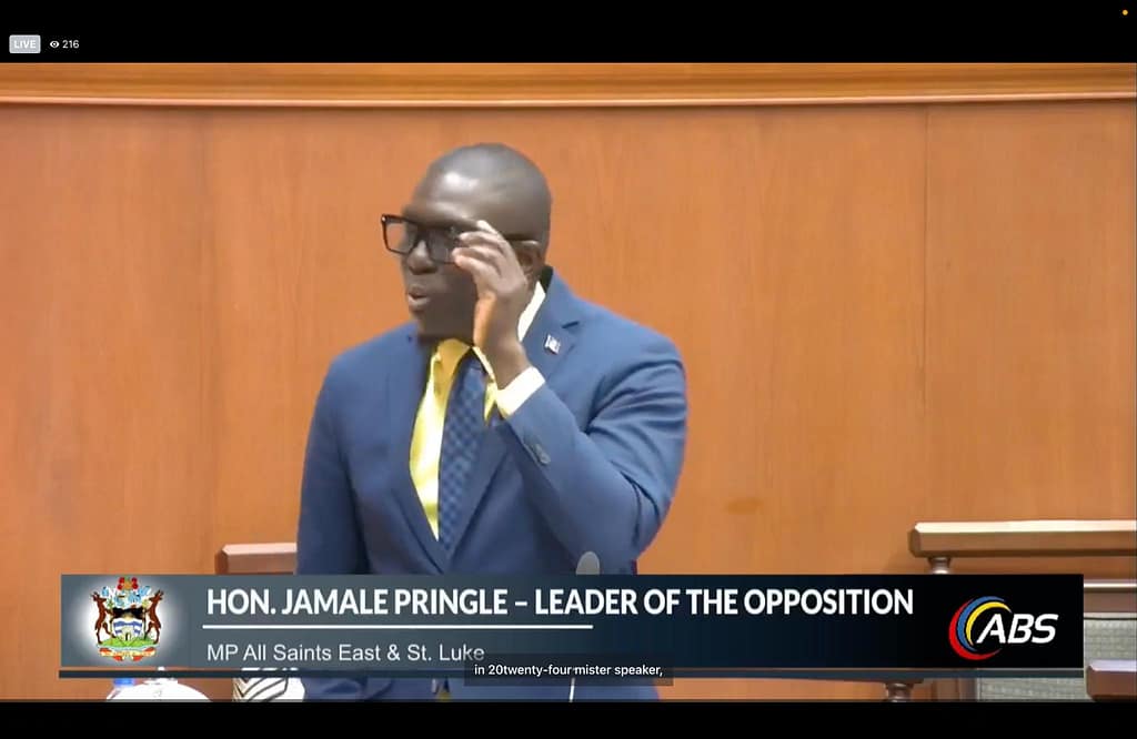 Pringle Accuses PM of ‘Double Standards’ in Allegations - Antigua News Room