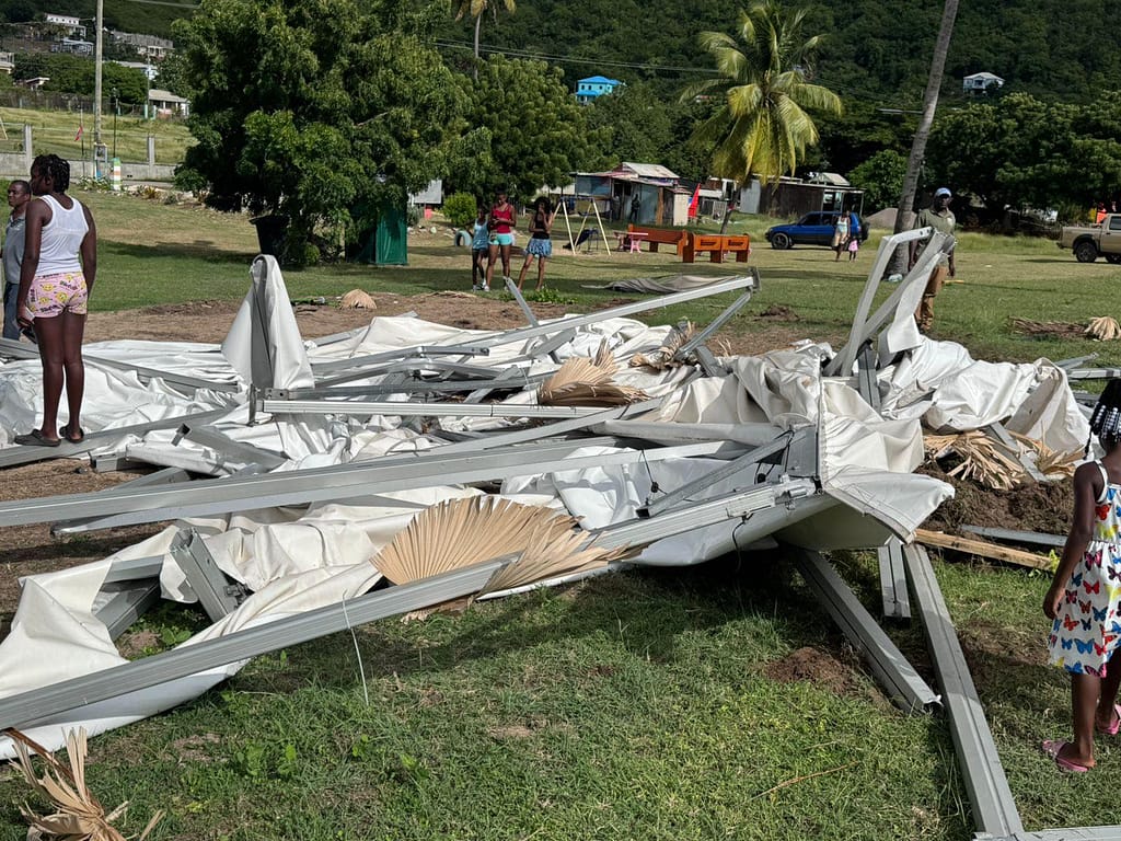 ‘Targeted and alone’: Pringle Says His Morris Bay Facility Was Singled ...