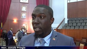 Strategic Group Formed to Support Jamale Pringle, but Efforts Falter ...