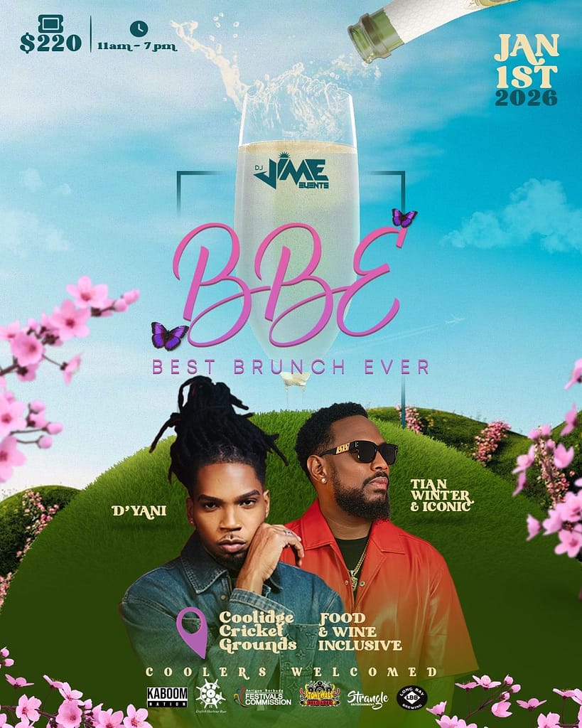 APUA inet Launches New Online Portal - Antigua News Room