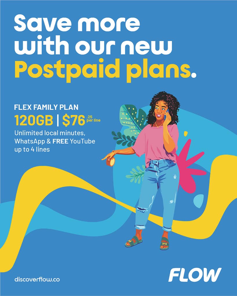 Woman Reports EC$1,800 Phone Theft, Later Targeted in Ransom Demand ...