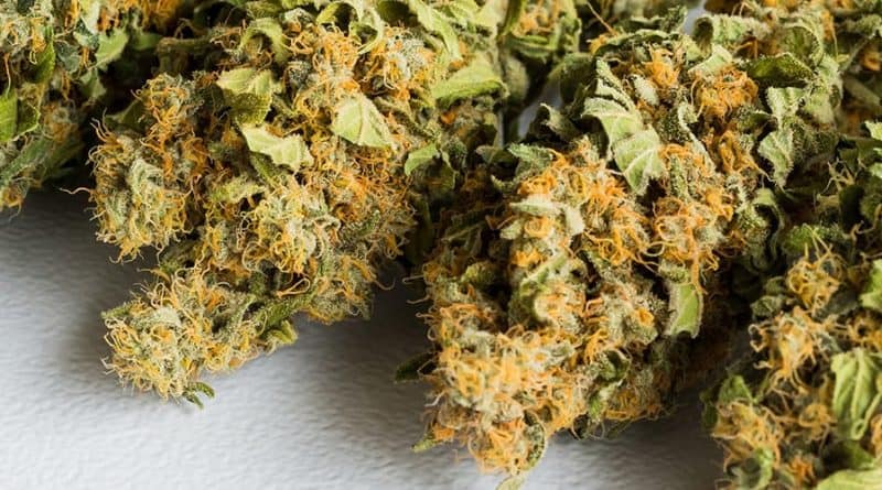 More than 60 marijuana-laced products shipped from the USA are seized ...