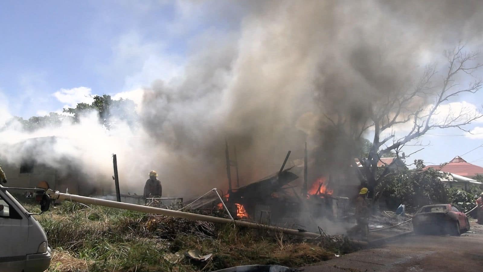 Political Candidate Nigel 'Missing Link' Bascus Loses Home to ...