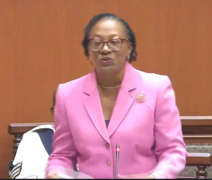 VIDEO: Senator Shawn Nicholas Shocks Senate with Unexpected Resignation ...