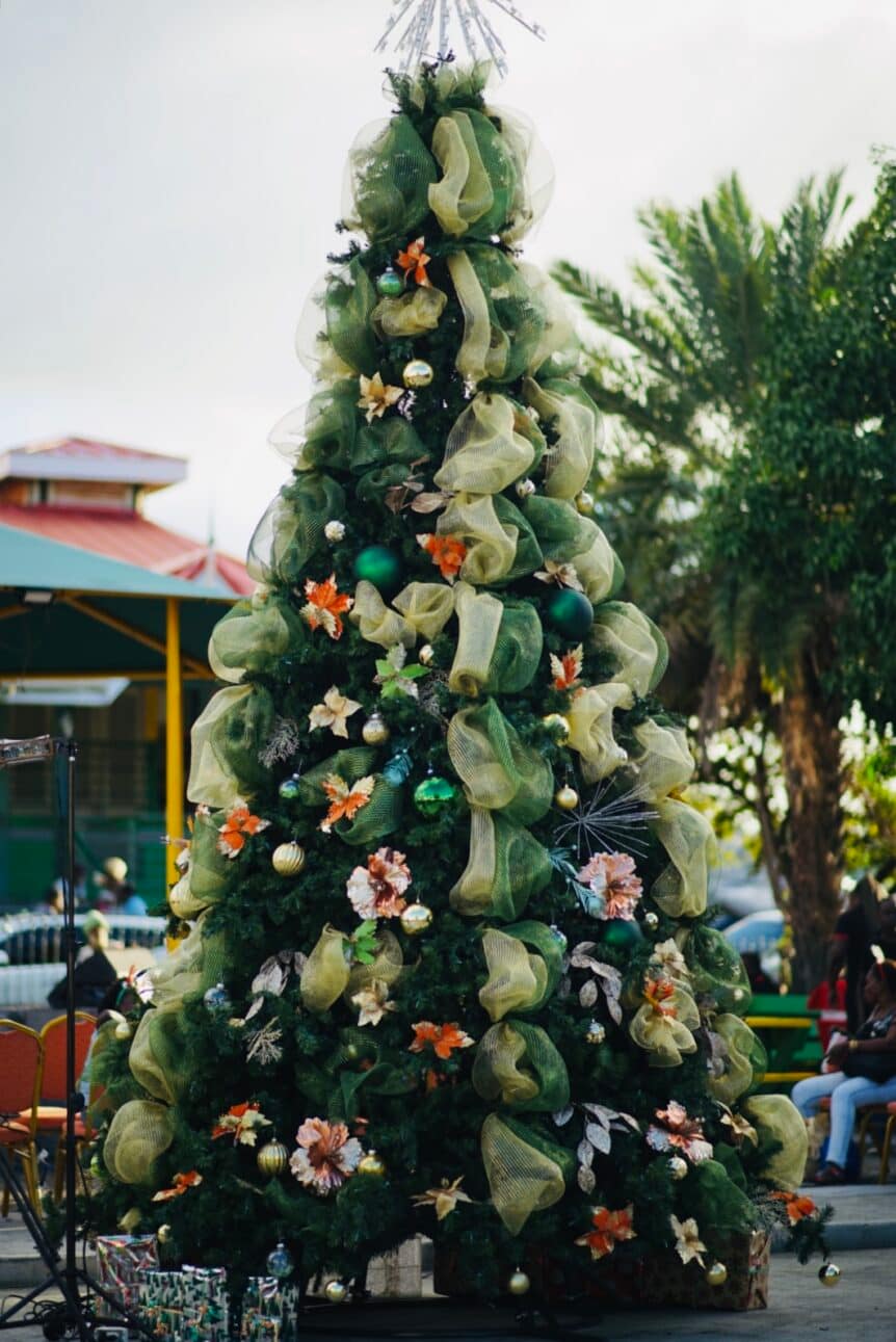 Caribbean Union Bank and St. John’s Development Corporation Bring St ...