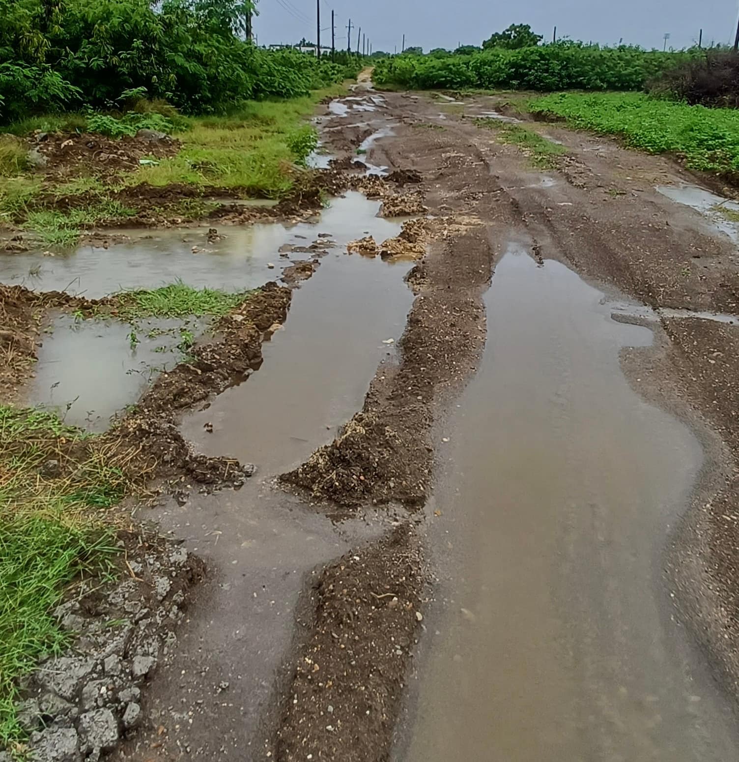 LETTER: Donovan's Estate: A community's cry for help!!! - Antigua News Room