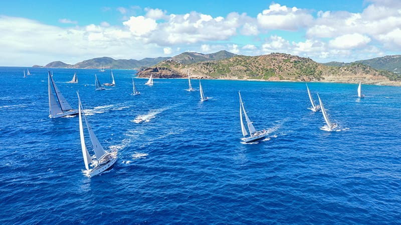 Antigua Launches New Racing Cup in 2026 - Antigua News Room