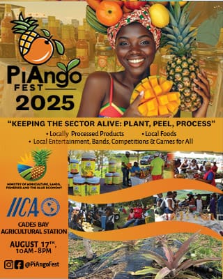 PiAngo Fest Returns on 17 August with Mangoes, Black Pineapples and ...