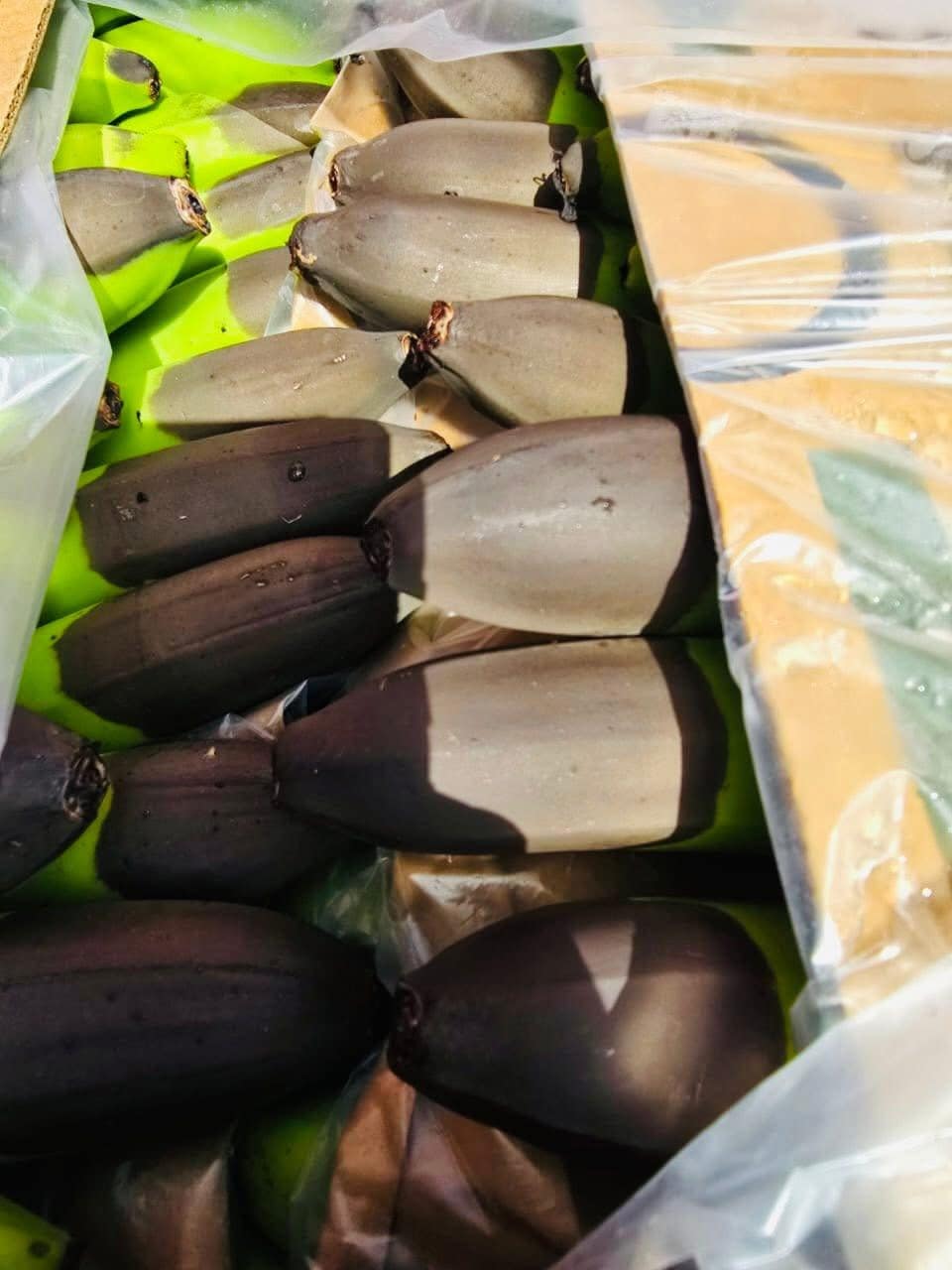 Tempers flare As Dominican vendors protest over spoiled produce at ...