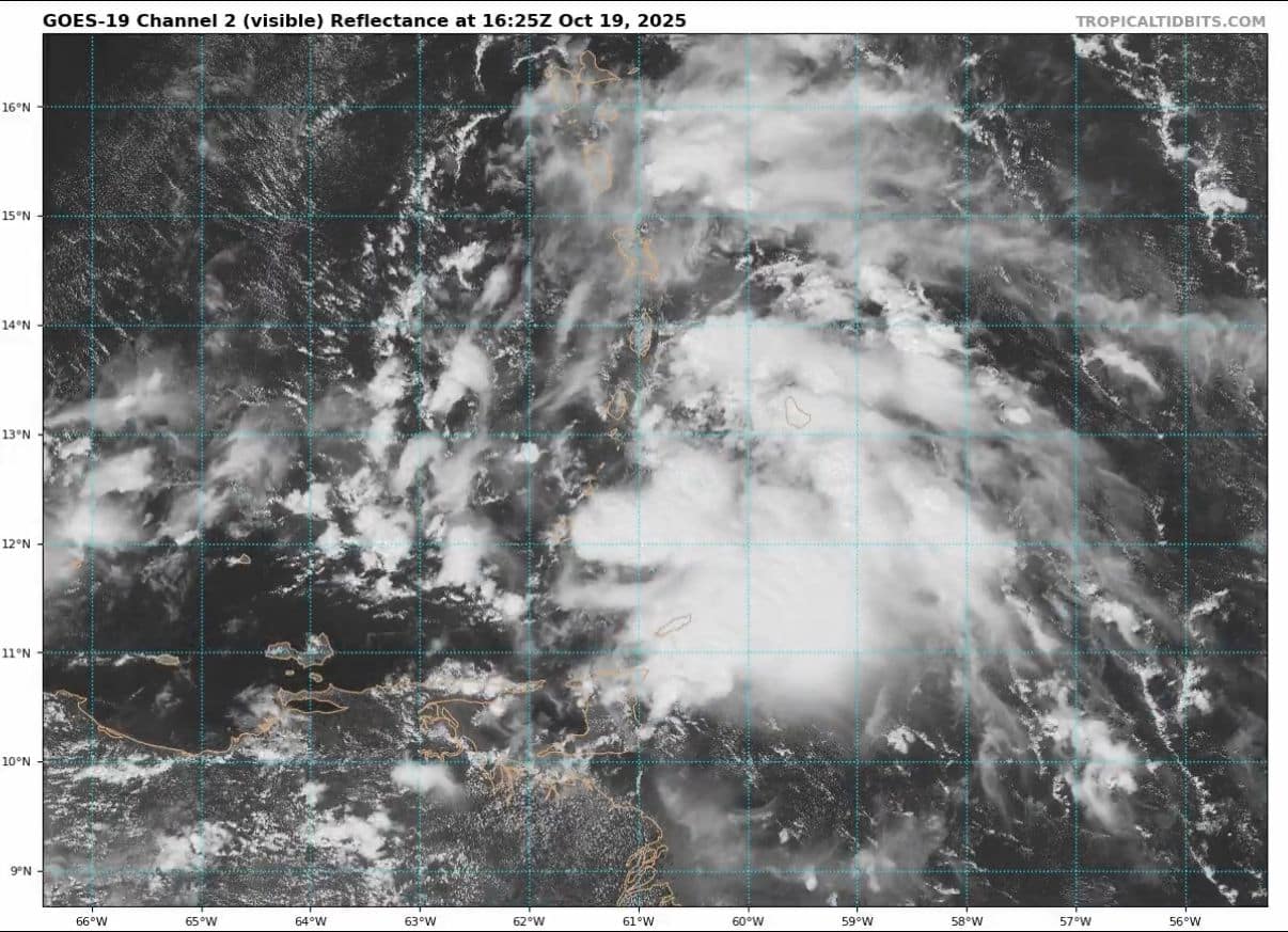 2–4 Inches of Rain Possible from Tropical Disturbance AL98 - Antigua News Room
