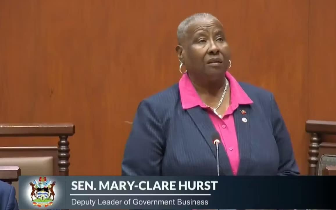 ABLP to Hold Candlelight Vigil in Honour of Mary-Claire Hurst - Antigua ...